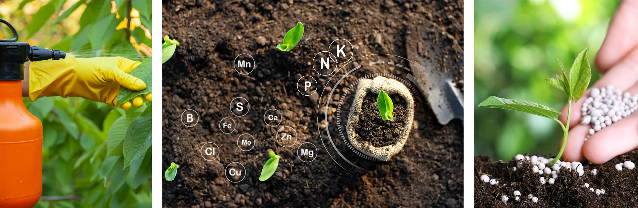 Fertilizers | Arizona SummerWinds Nursery