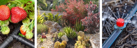 How to Use Drip Irrigation in Each Season | AZ SummerWinds