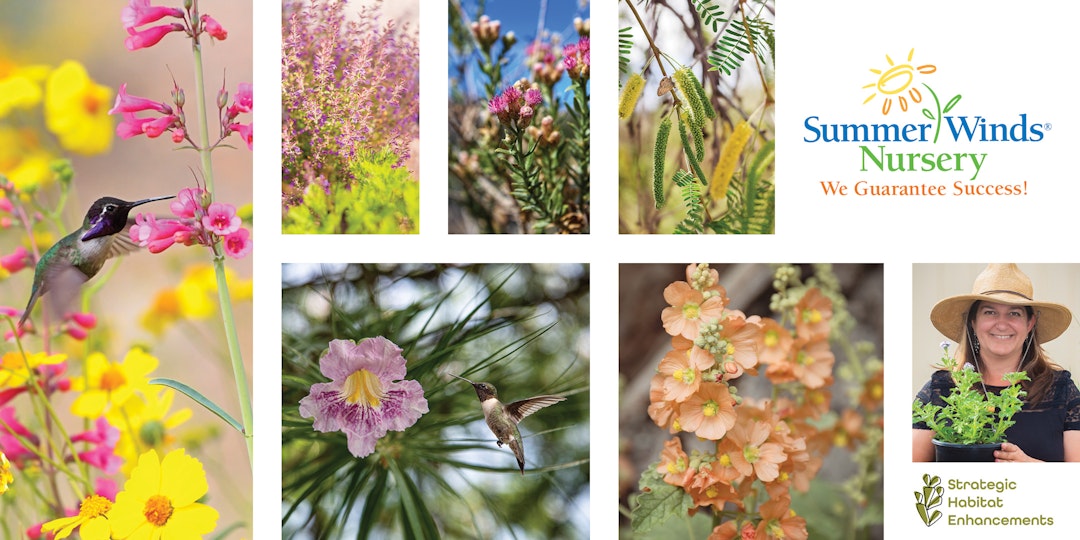 Events - Arizona | Arizona SummerWinds Nursery
