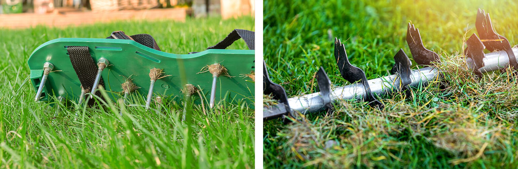 Year-Round Grub Worm Prevention | Arizona SummerWinds