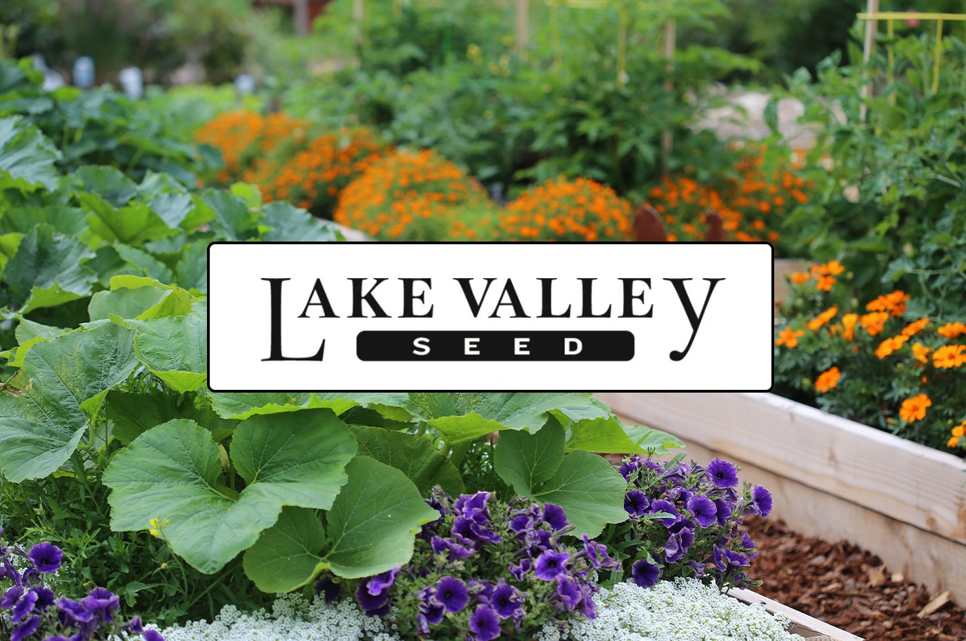 Edible Seeds | Arizona SummerWinds Nursery