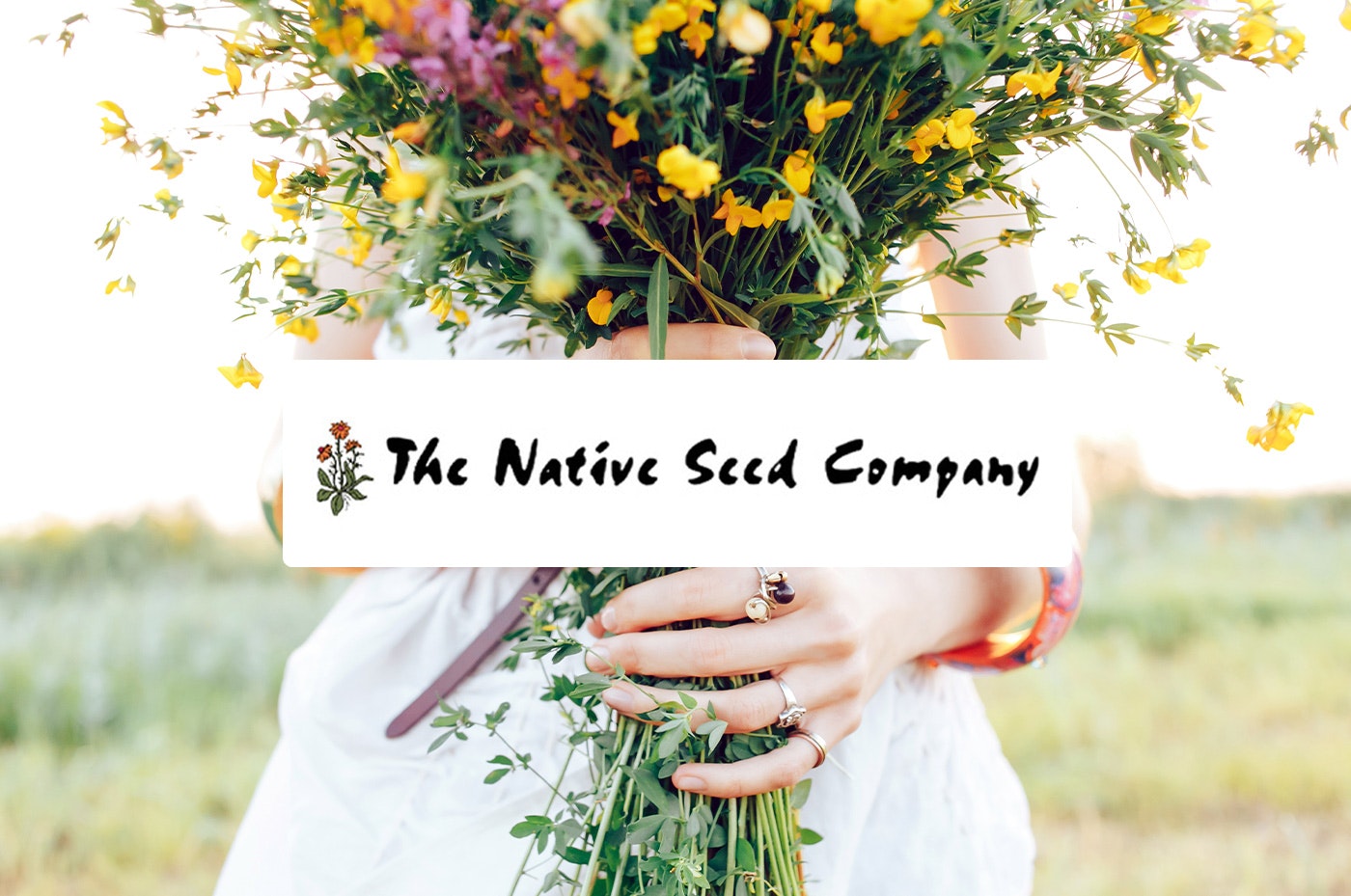 Flower Seeds | Arizona SummerWinds Nursery