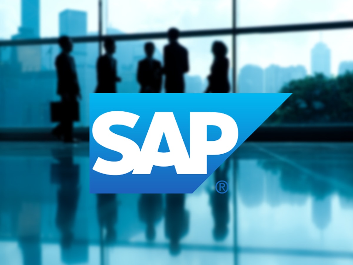 Introducing Lalandi Conclusion's new SAP Team