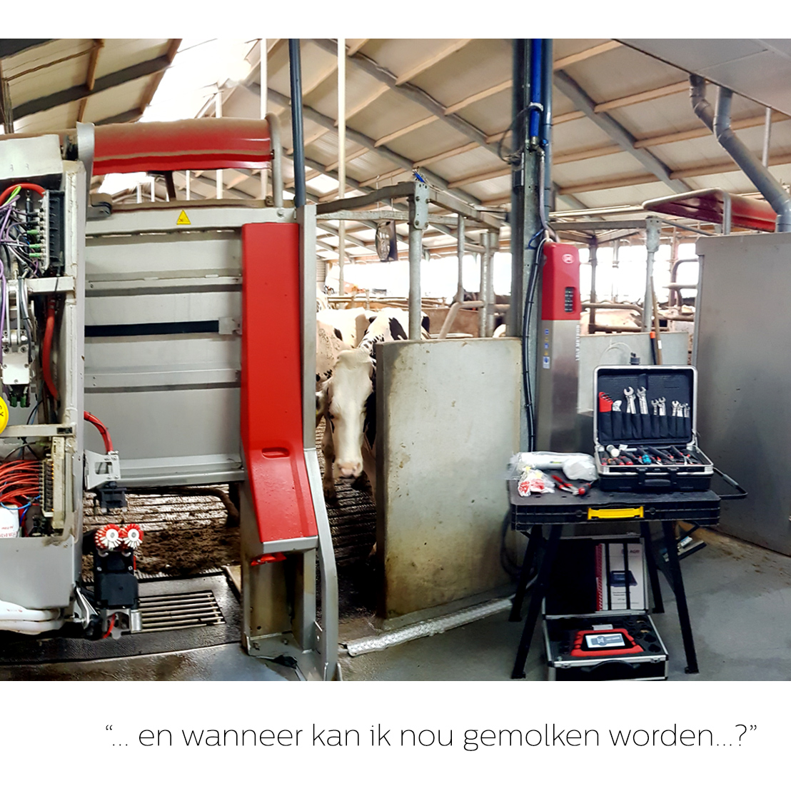 Bright Alley terugblik op 2021