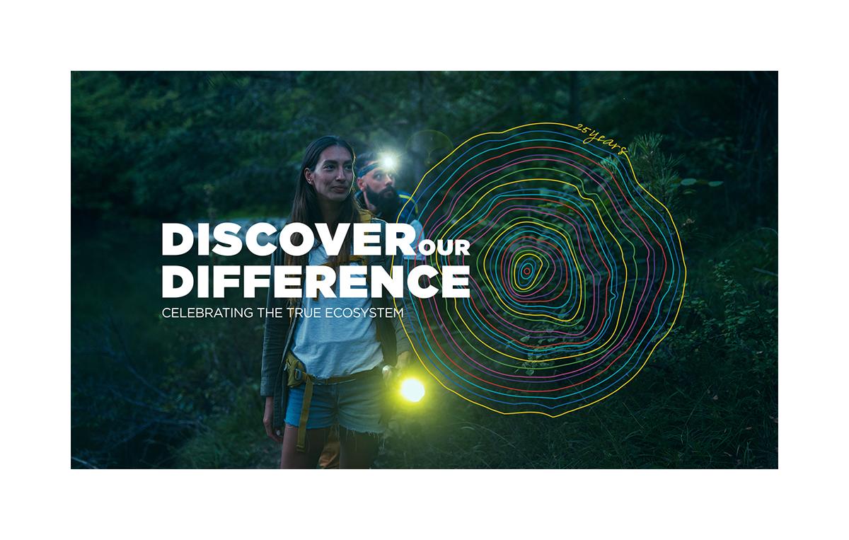 Conclusion | Celebrating the true ecosystem