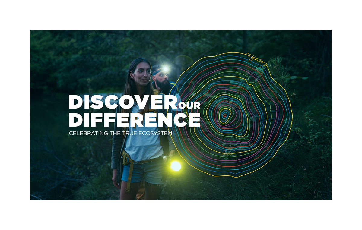 Conclusion | Celebrating the true ecosystem