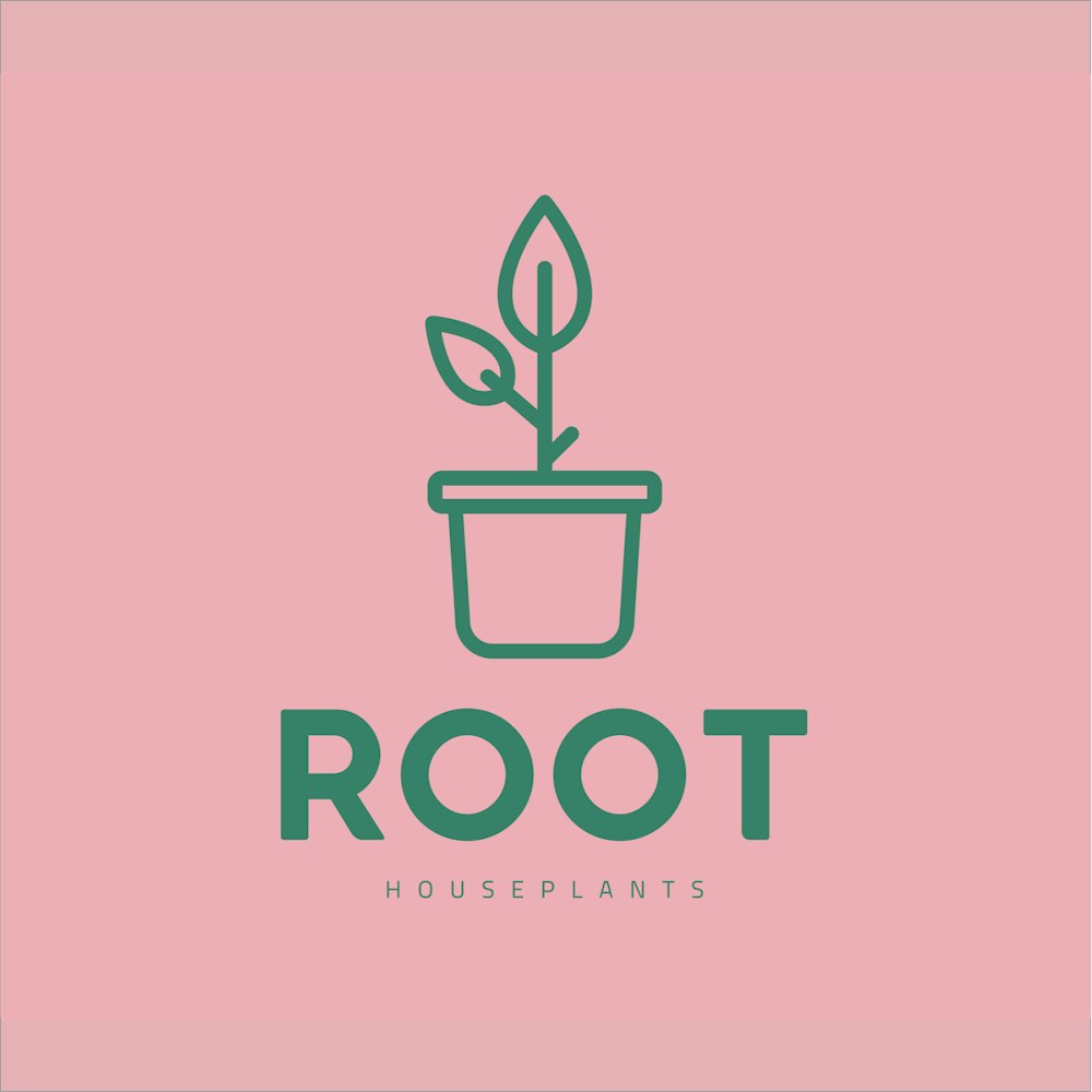 House Plants Liverpool | Root Houseplants