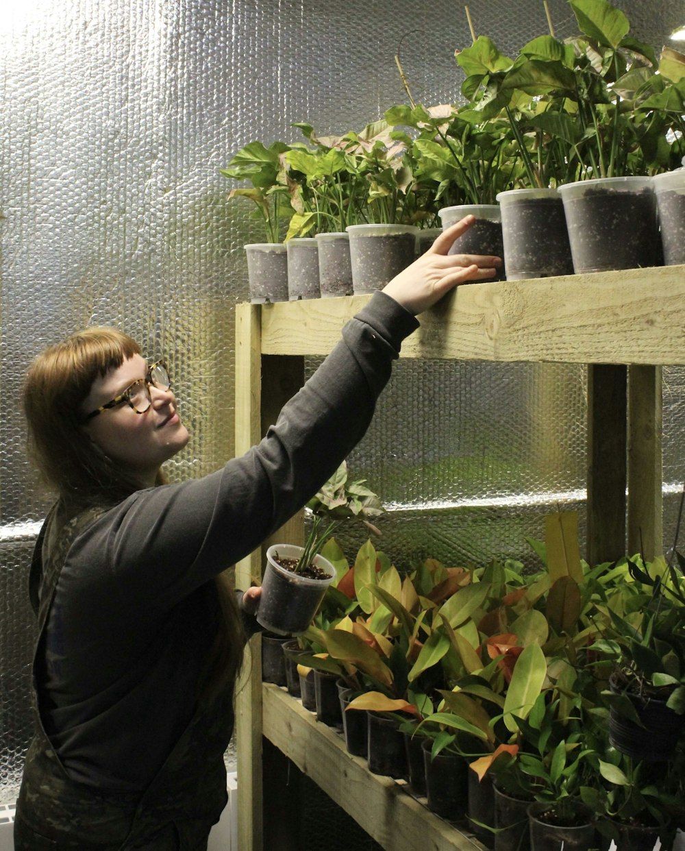 Lisa Price | Root Houseplants