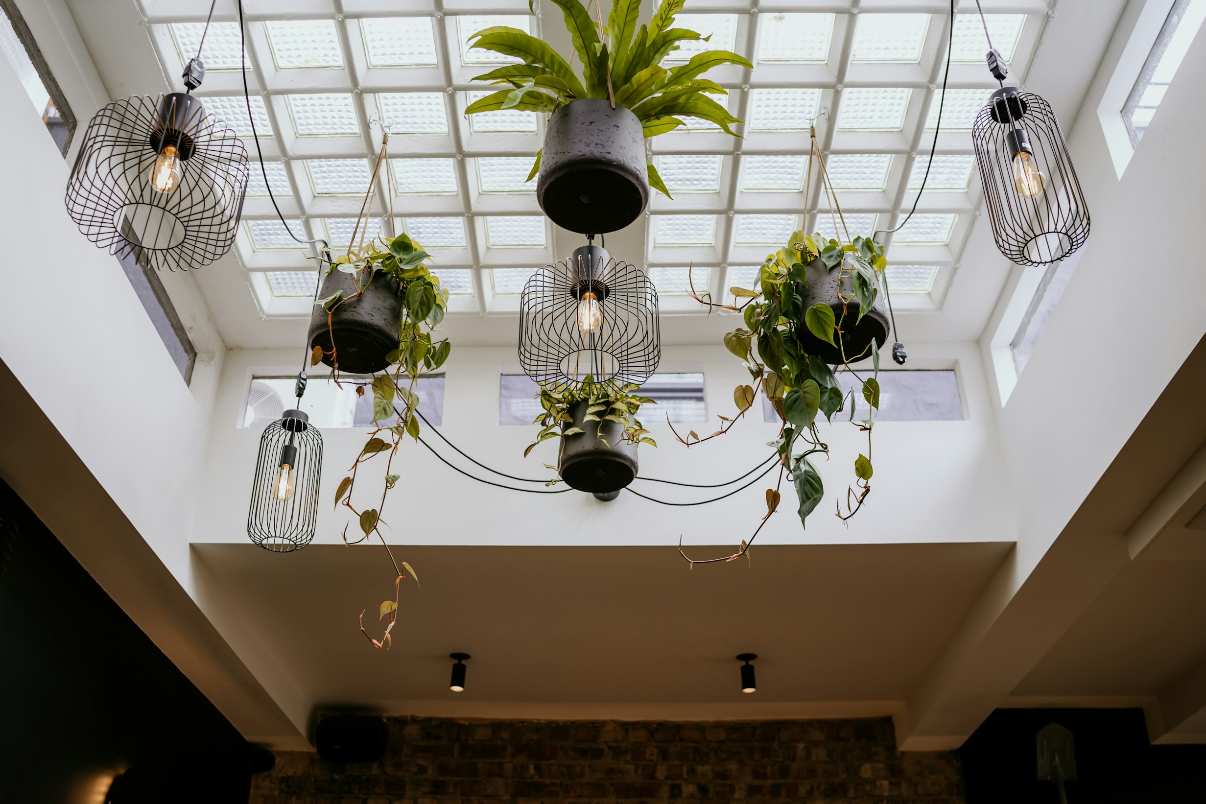 Hardware Coffee + Kitchen: Cafe Plant Installation in Liverpool
