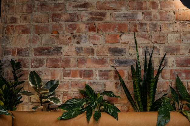 Hardware Coffee + Kitchen: Cafe Plant Installation in Liverpool