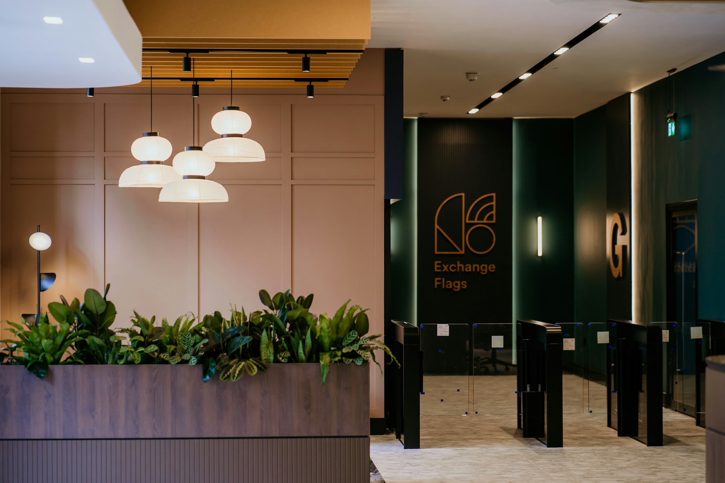 Root - Plants for Businesses - Exchange Flags Liverpool