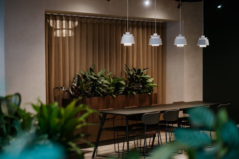 Root - Plants for Businesses - Exchange Flags Liverpool