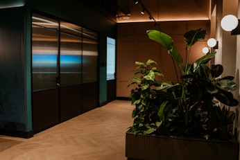 Horton House: Business Lounge Plant Installation, Exchange Flags, Liverpool
