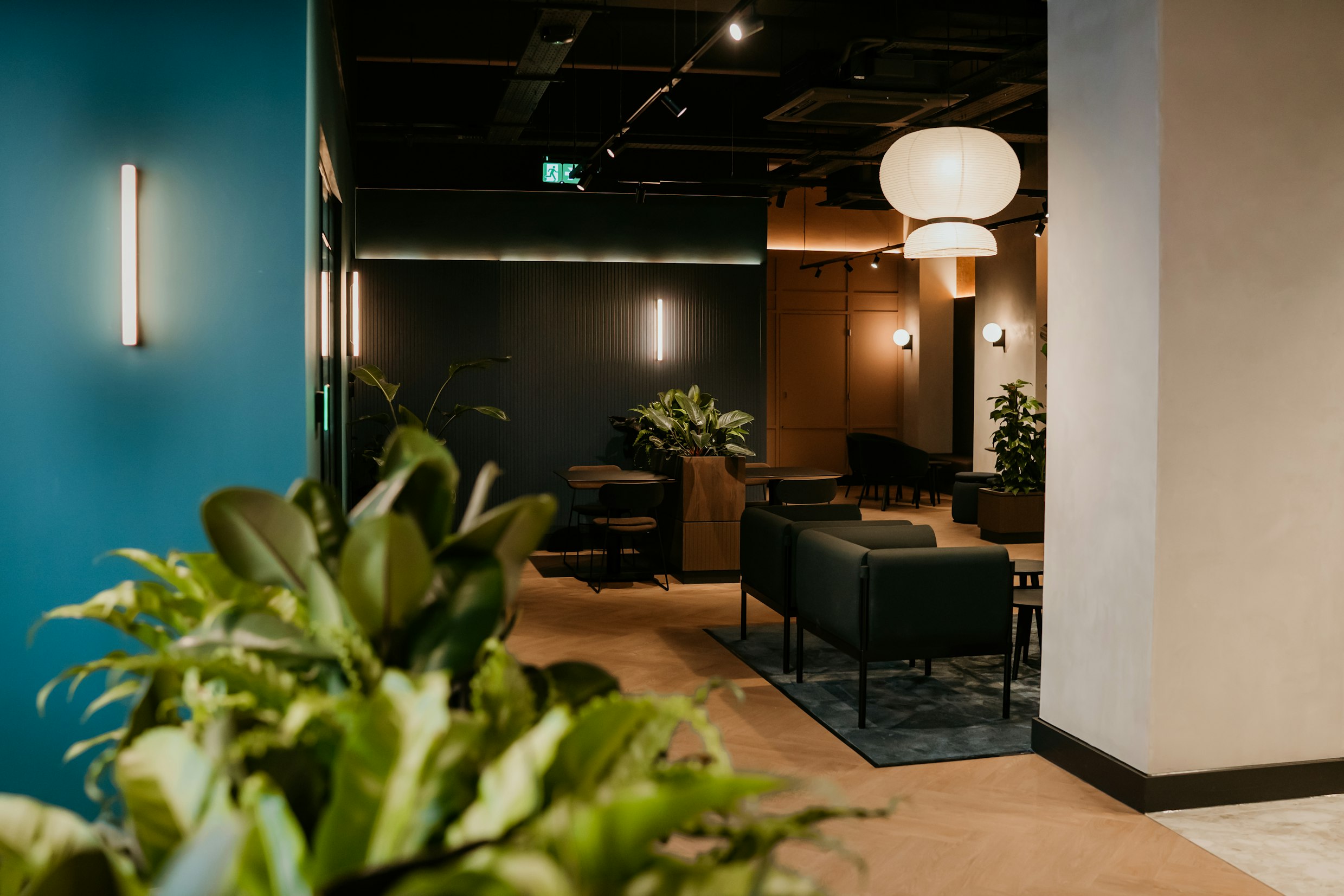 Horton House: Business Lounge Plant Installation, Exchange Flags, Liverpool
