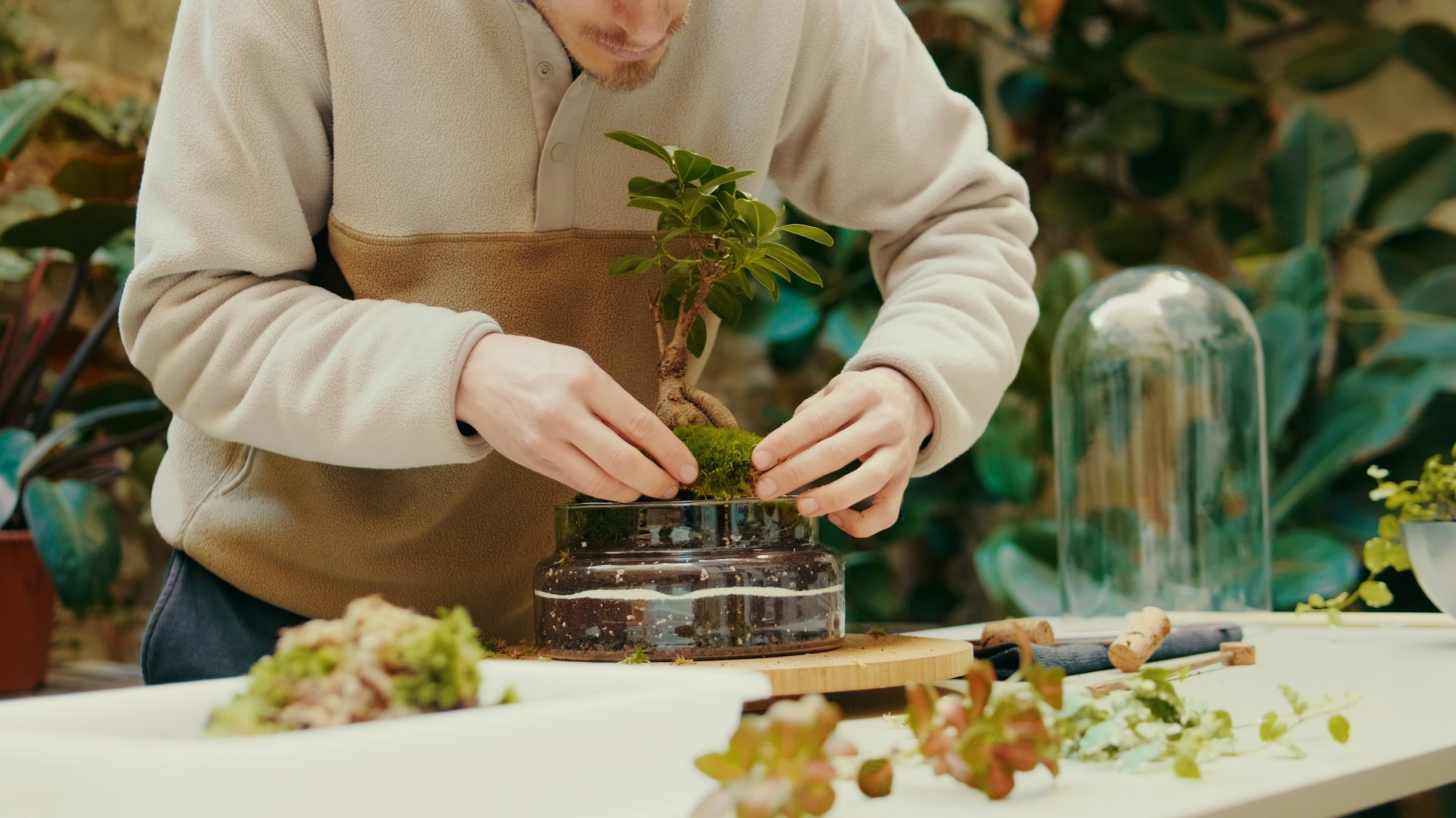 Plant Workshops Liverpool & Corporate Team Building | Root Houseplants