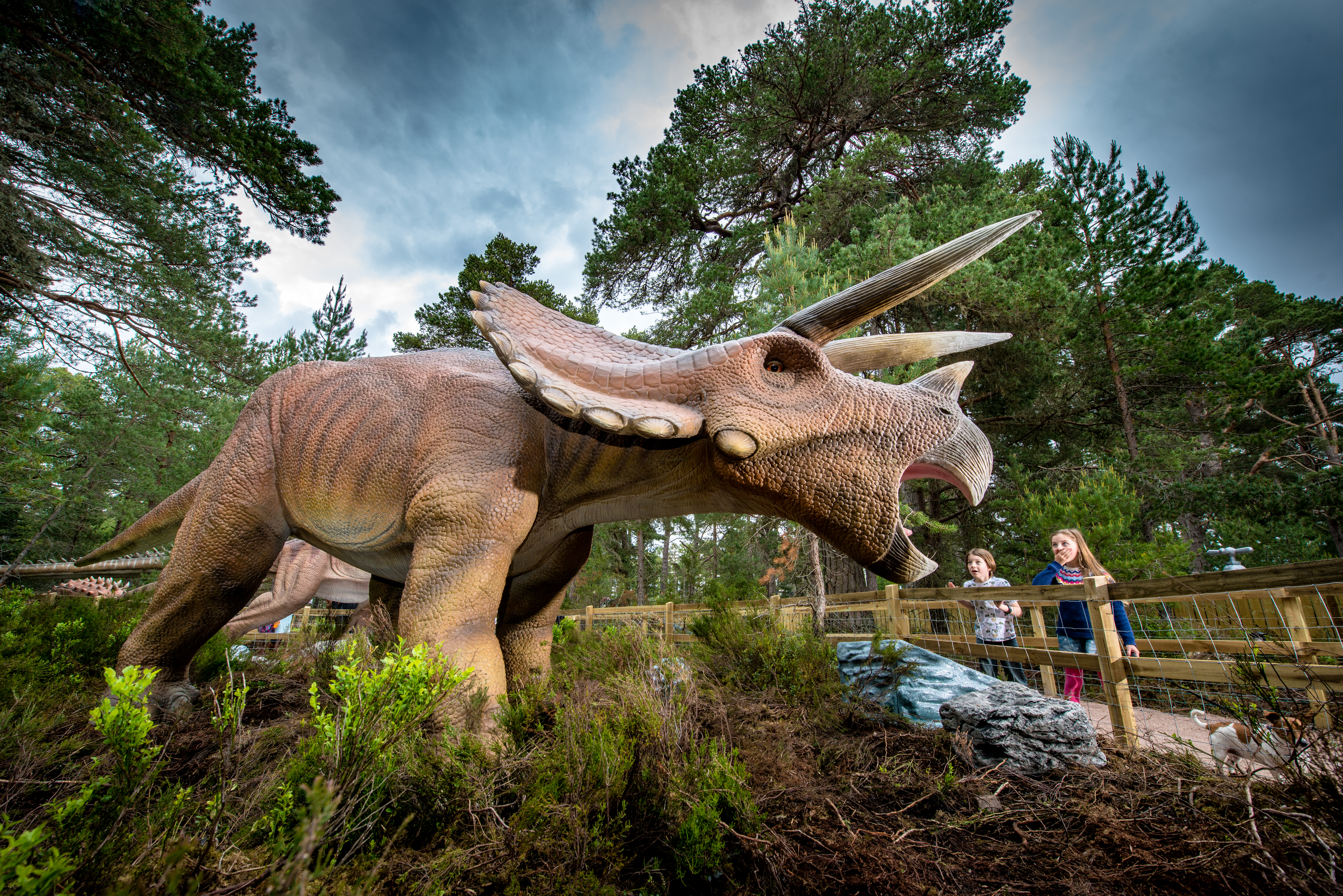 Aviemore Top 10 for Spring | Macdonald Aviemore Resort