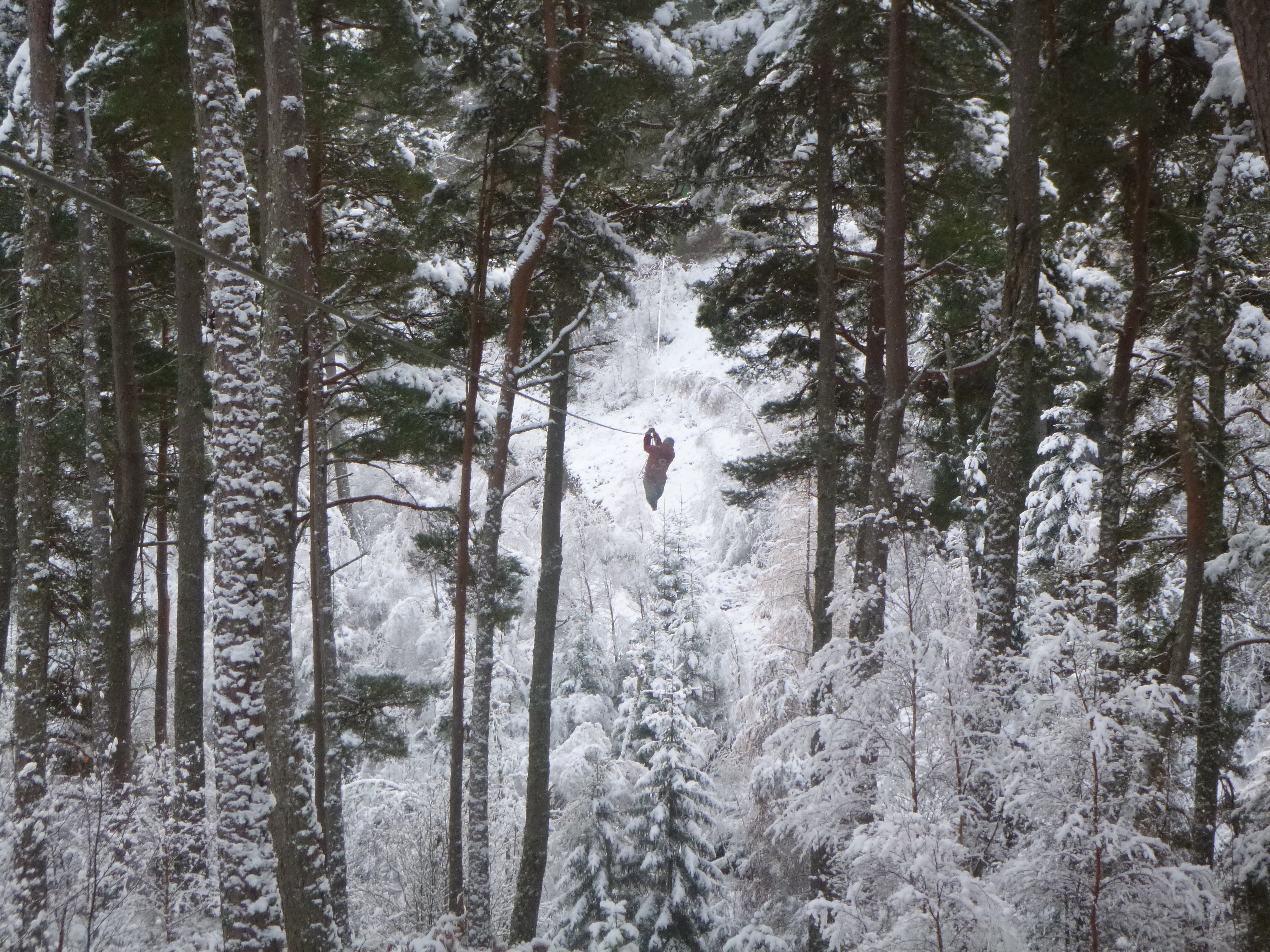 Zip Wire Park Aviemore | Macdonald Aviemore Resort