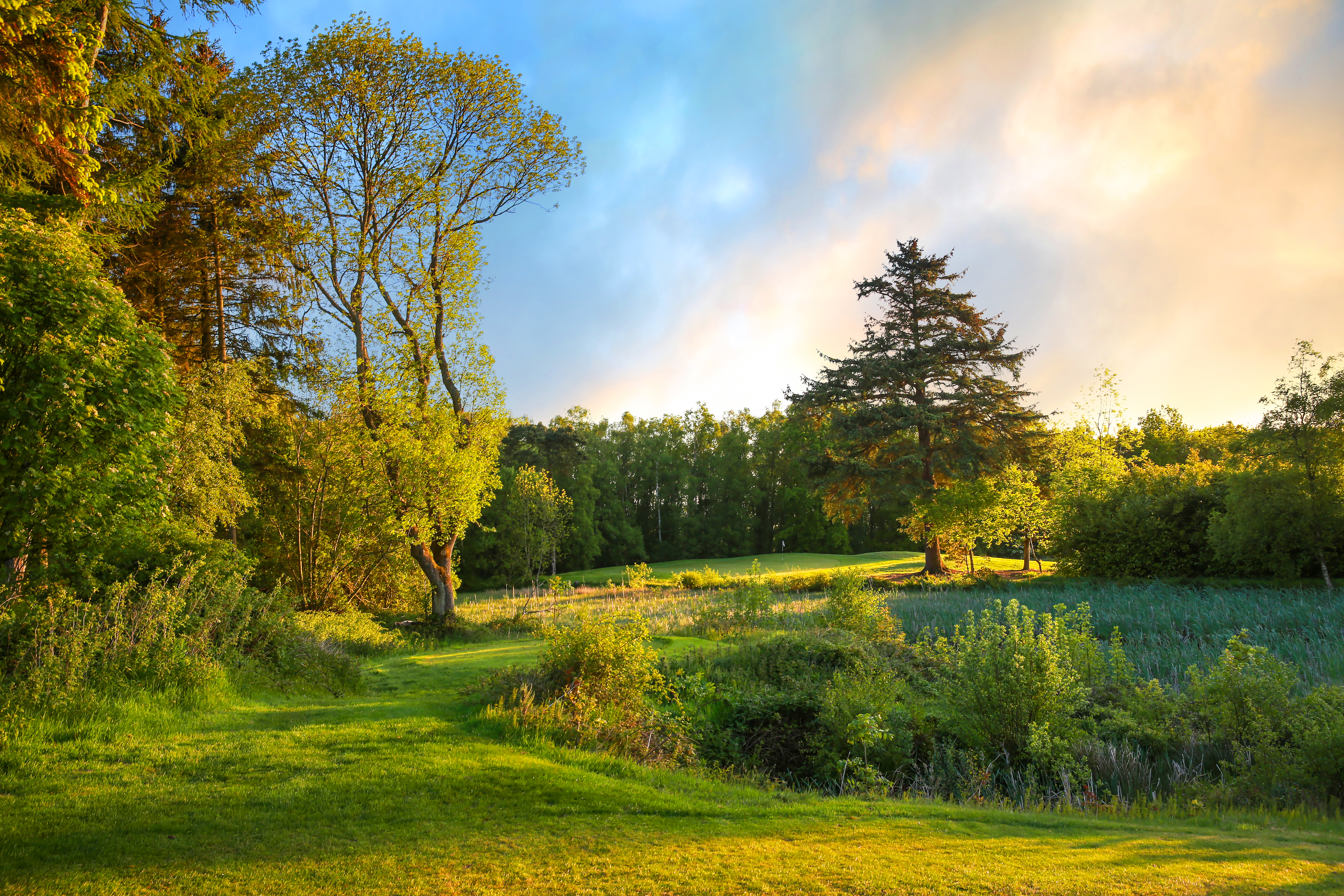 Hot Eagle Breaks | Golf Offers | Macdonald Hotels