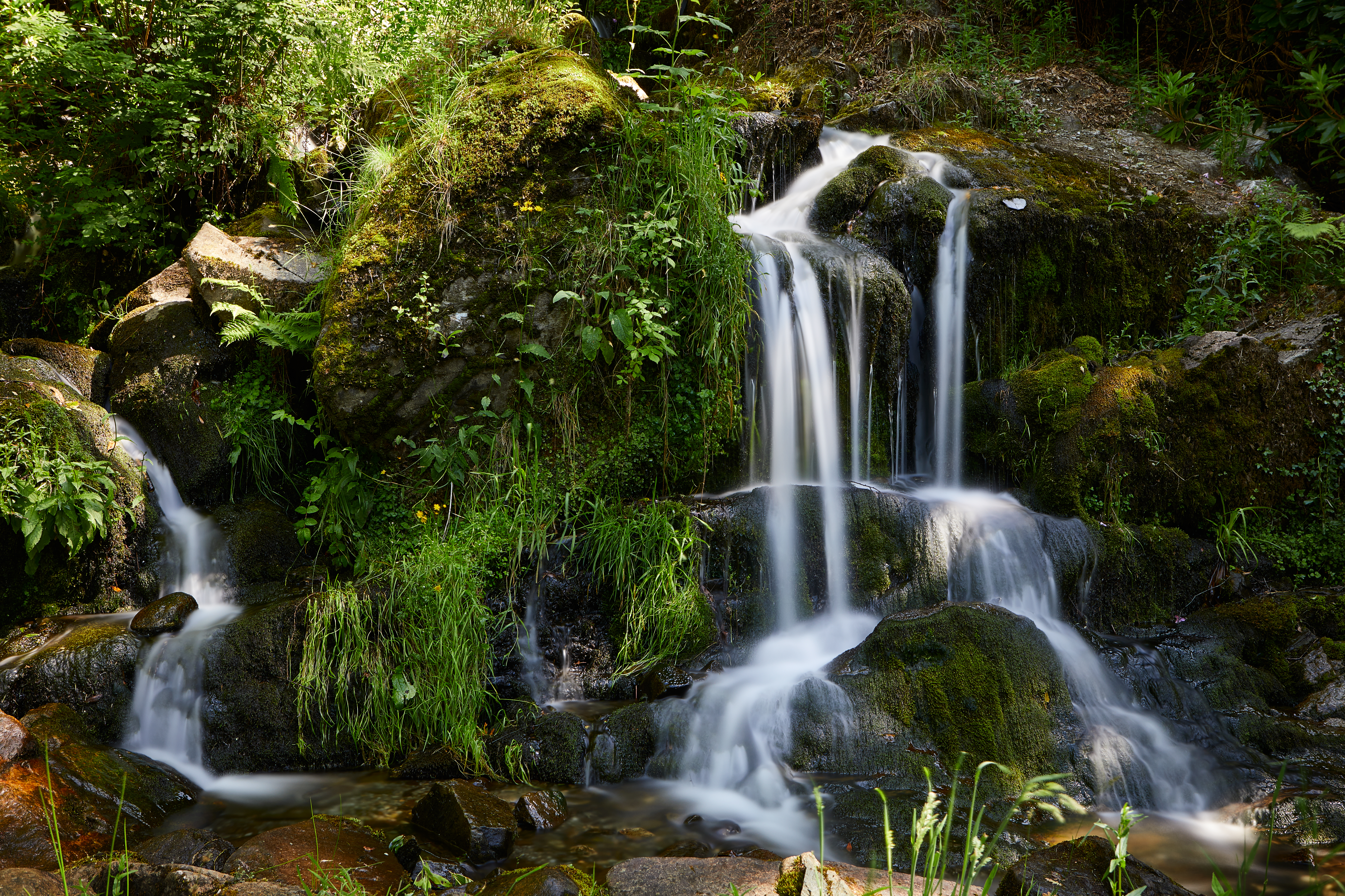 4 Star Hotel & Resort in Aberfoyle | Macdonald Forest Hills