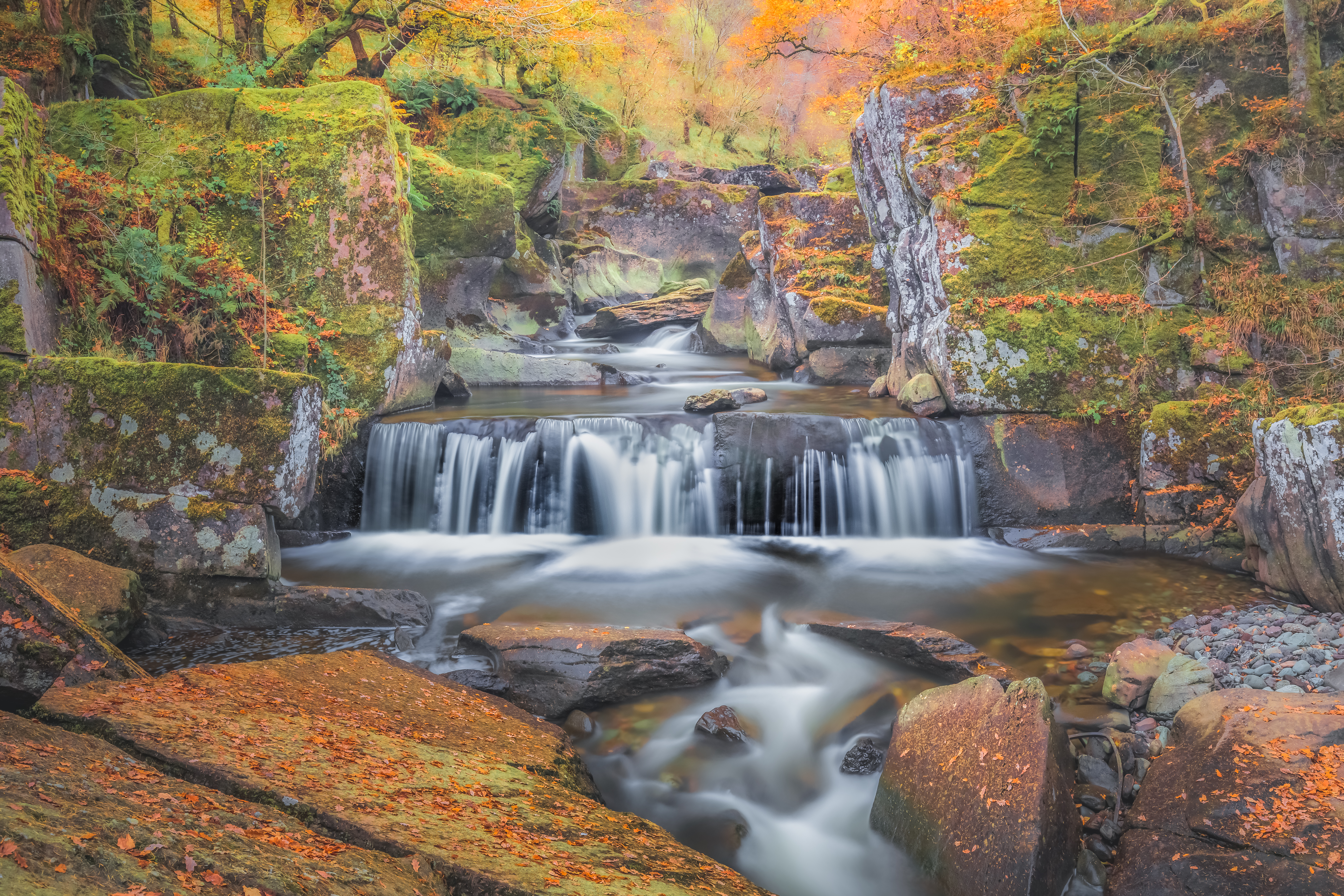 4 Star Hotel & Resort in Aberfoyle | Macdonald Forest Hills
