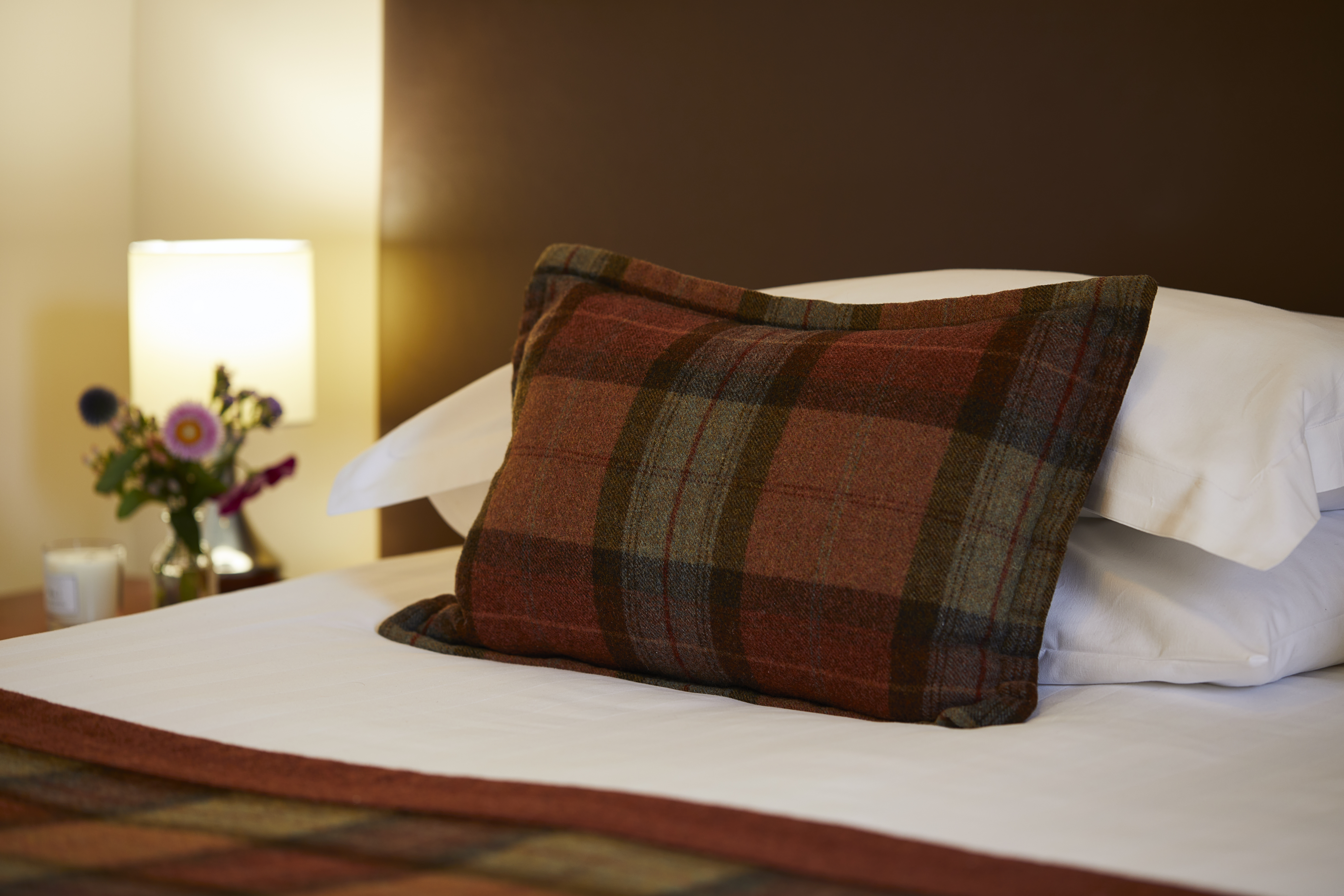 Choose Your Accommodation | Plas Talgarth Resort