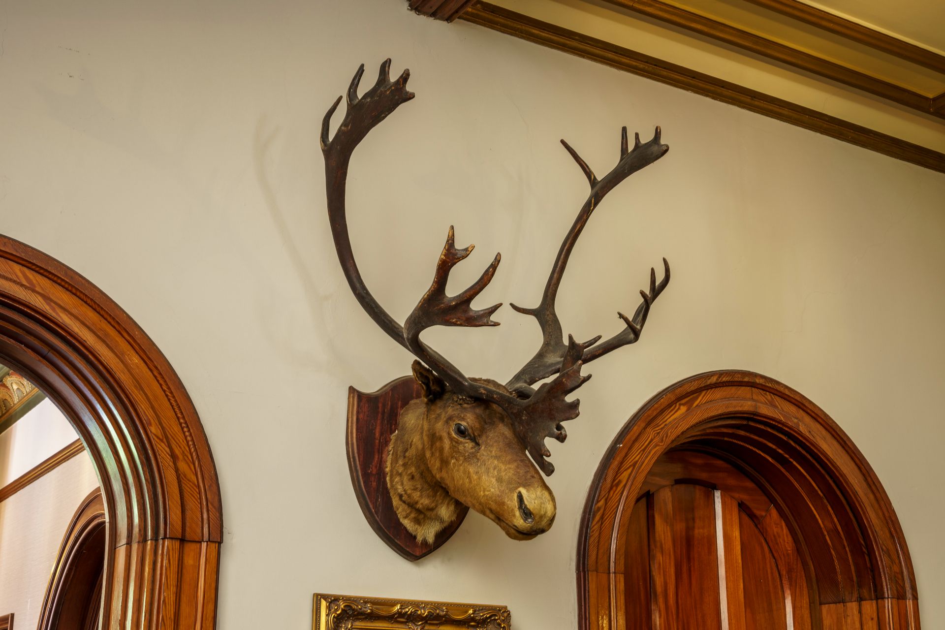 Hotel Gallery | Macdonald Kilhey Court, Wigan