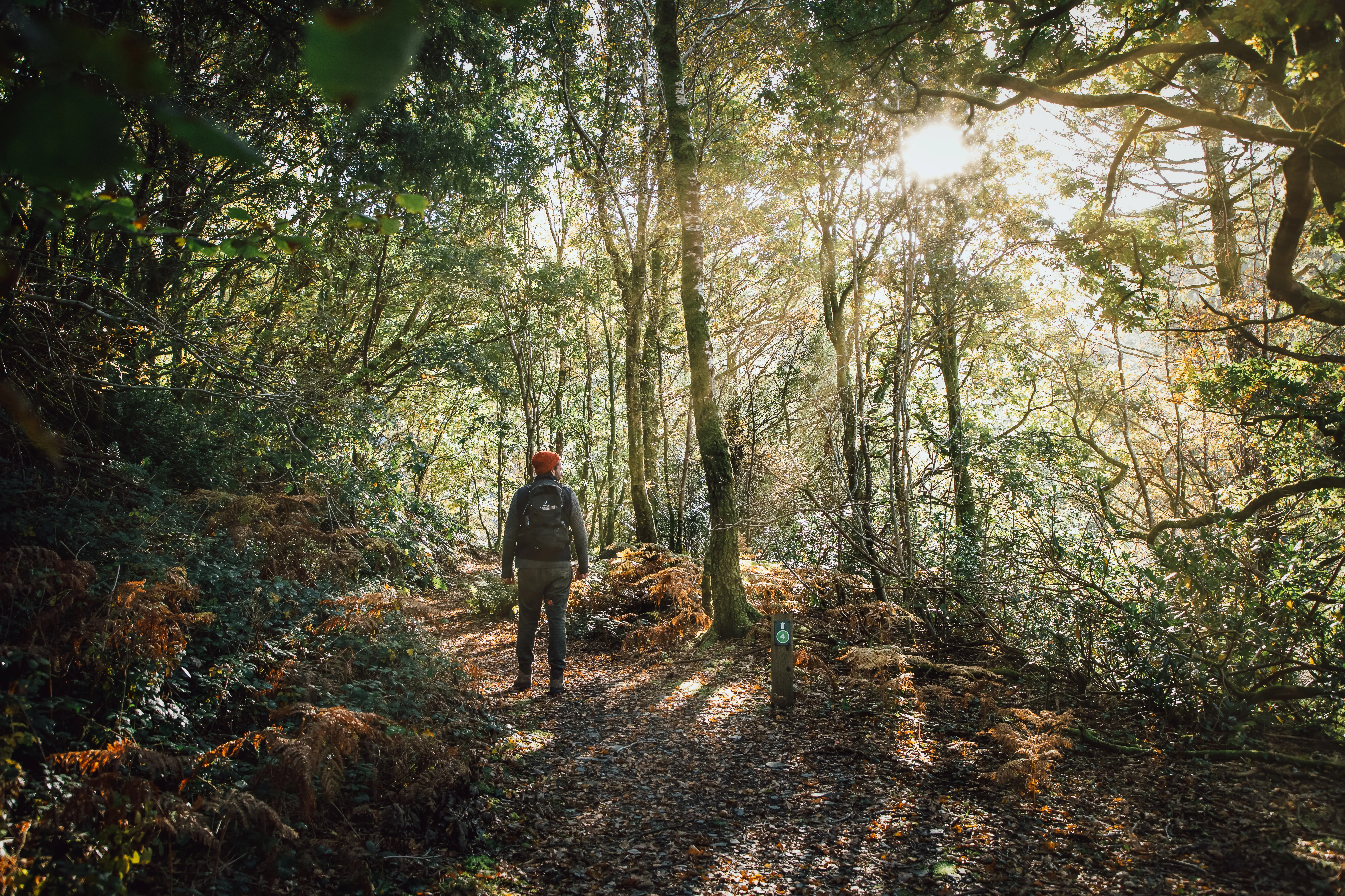 National Nature Reserves in Wales | Plas Talgarth