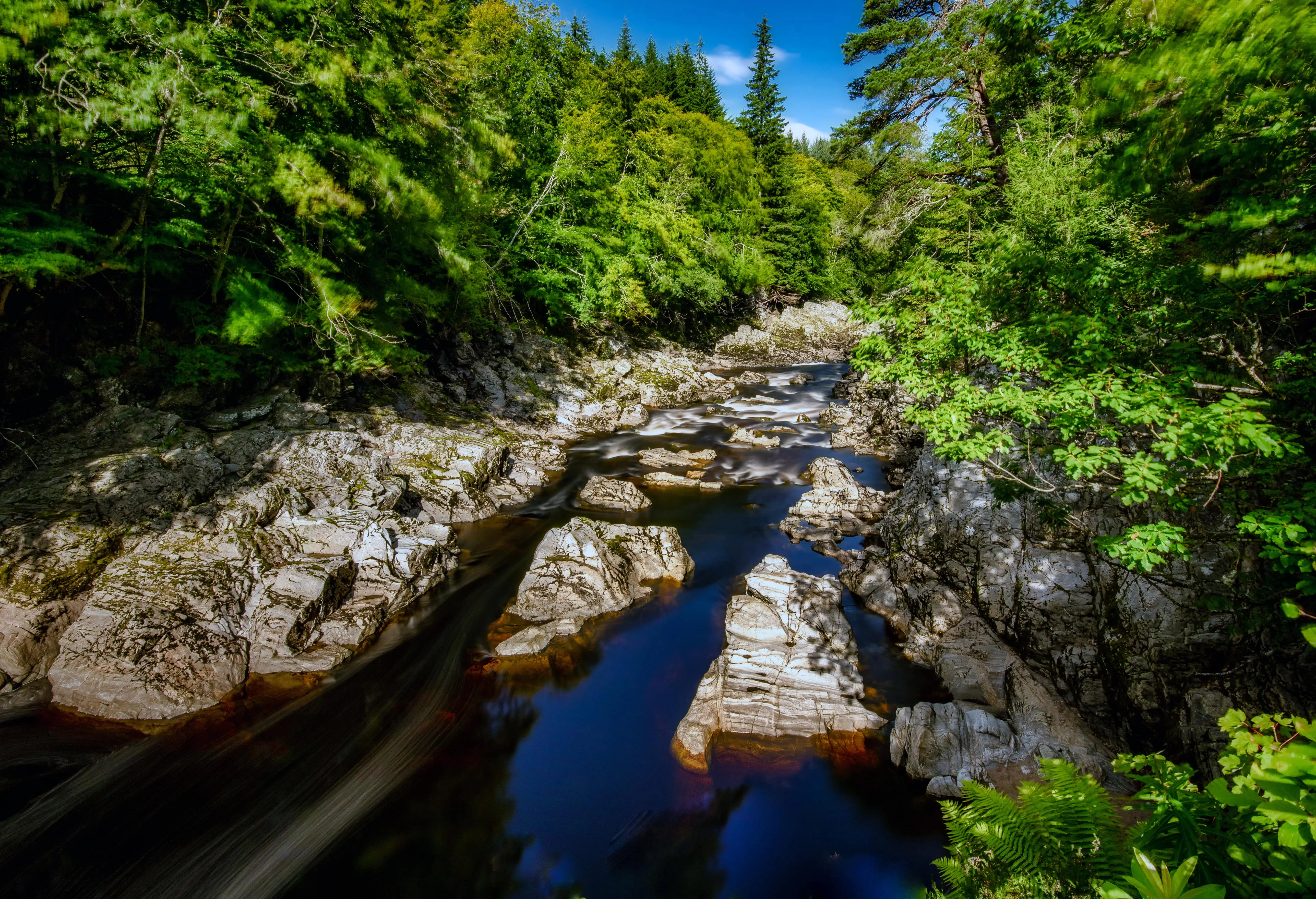 Walks Near Carrbridge in The Cairngorms | Lochanhully Resort