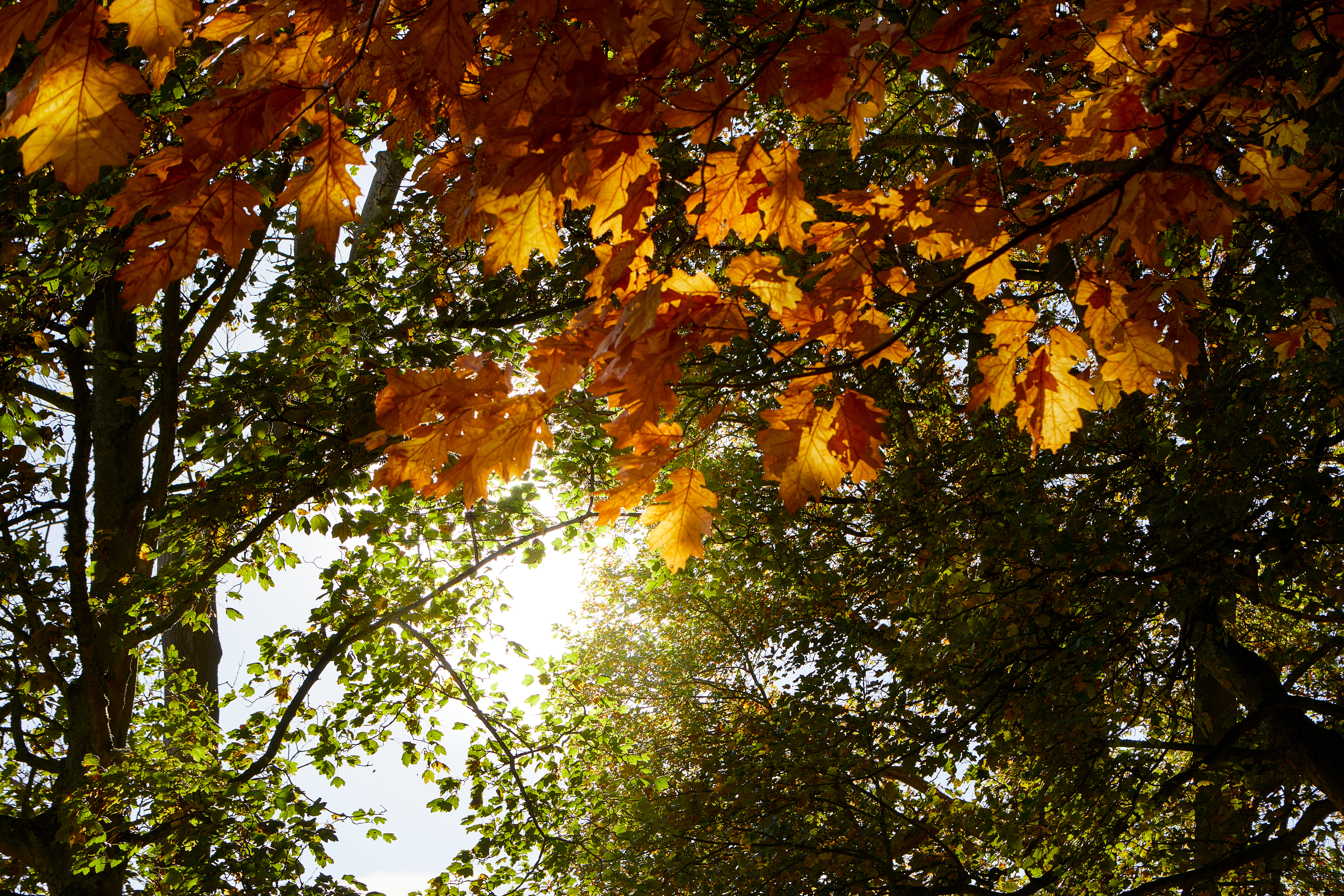 Autumn Self-Catering Breaks | Macdonald Hotels & Resorts