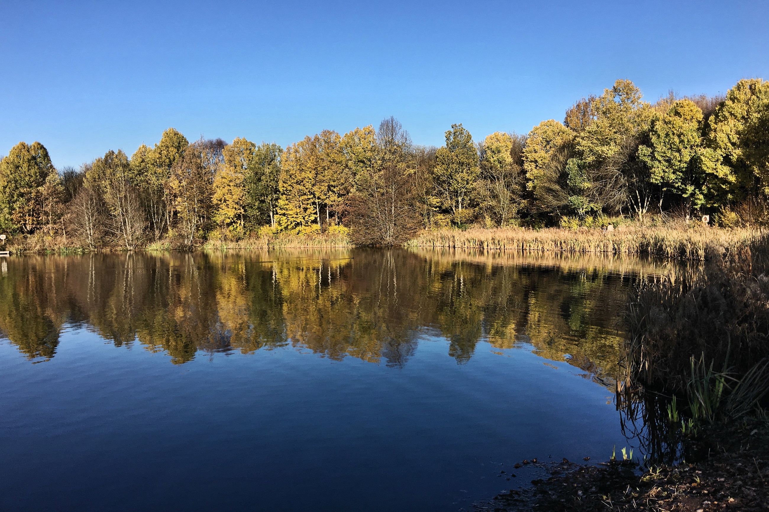 Top 10 Scenic Autumn Walks to Enjoy Across the UK | Macdonald Hotels