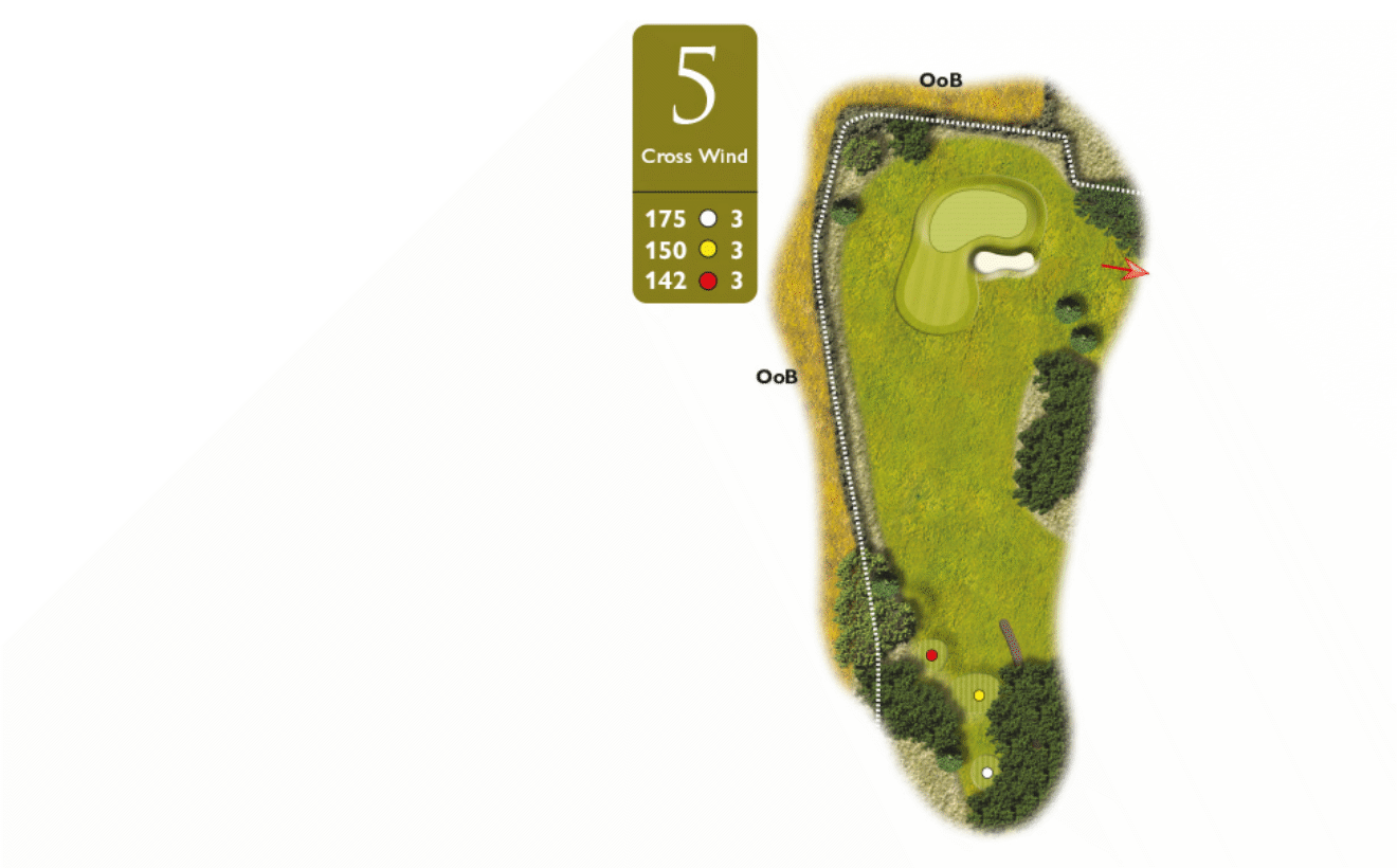 Premier Golf Courses at Portal, Cheshire | Macdonald Portal Golf Club