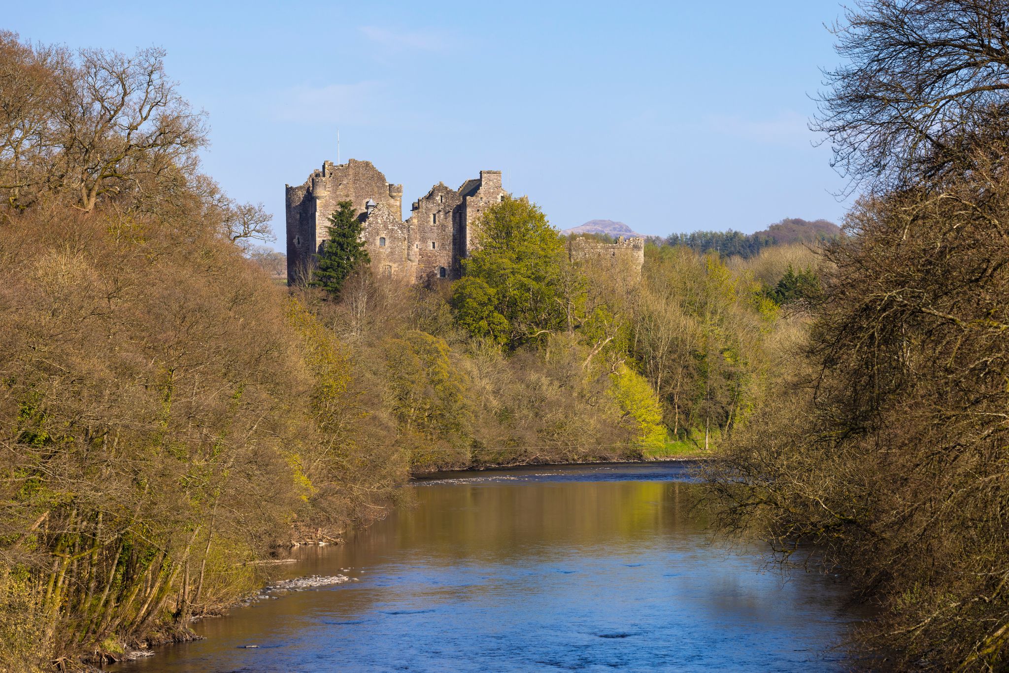 Things to See & Do, Aberfoyle | Forest Hills Hotel & Resort