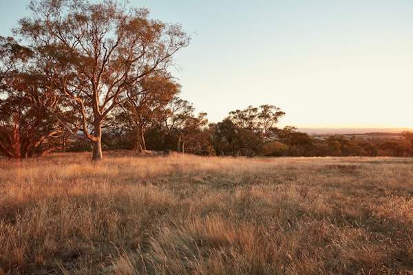 Project 49 | Collingwood restaurant + Beechworth cafe and deli