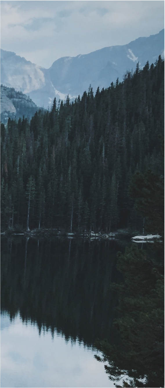 Plastic Surgery in Aspen | Vail Valley Plastic Surgeon