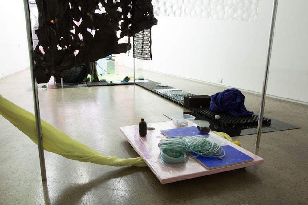 Debris Facility Pty Ltd: Endolith Morphology