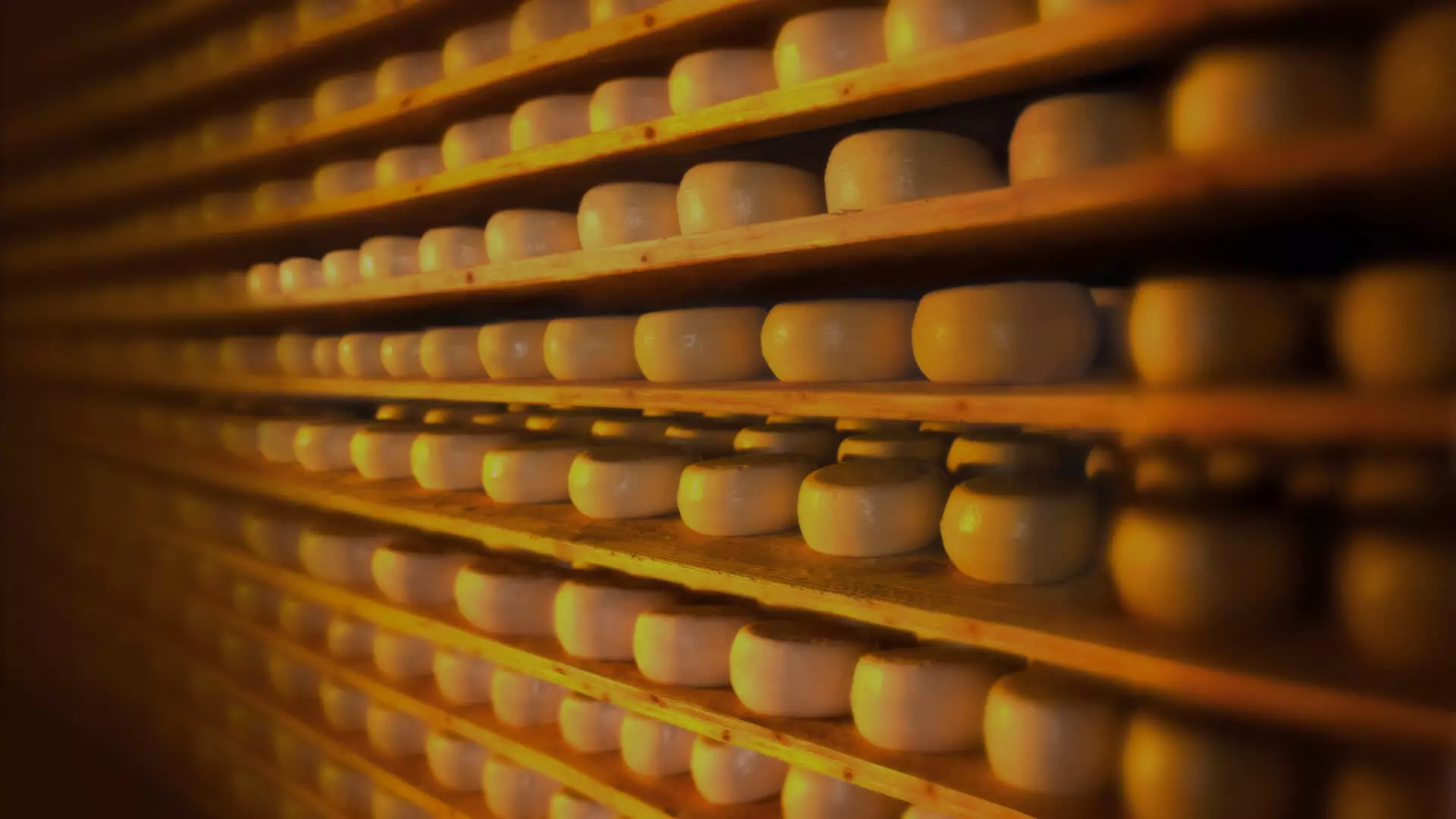 PECORINO CHEESES | Pinna Formaggi