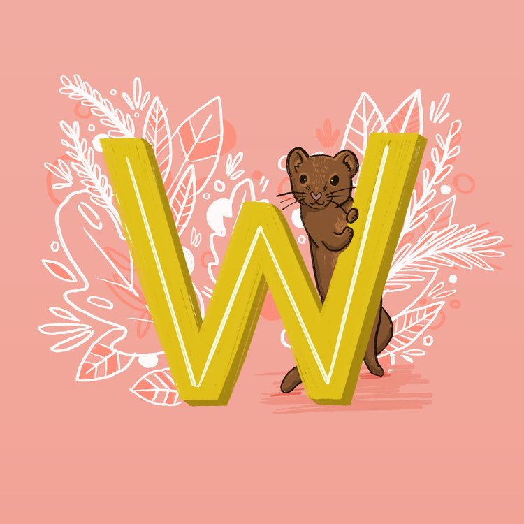 Illustrations and Sketches | Jess Bright Design | Jess Bright Design