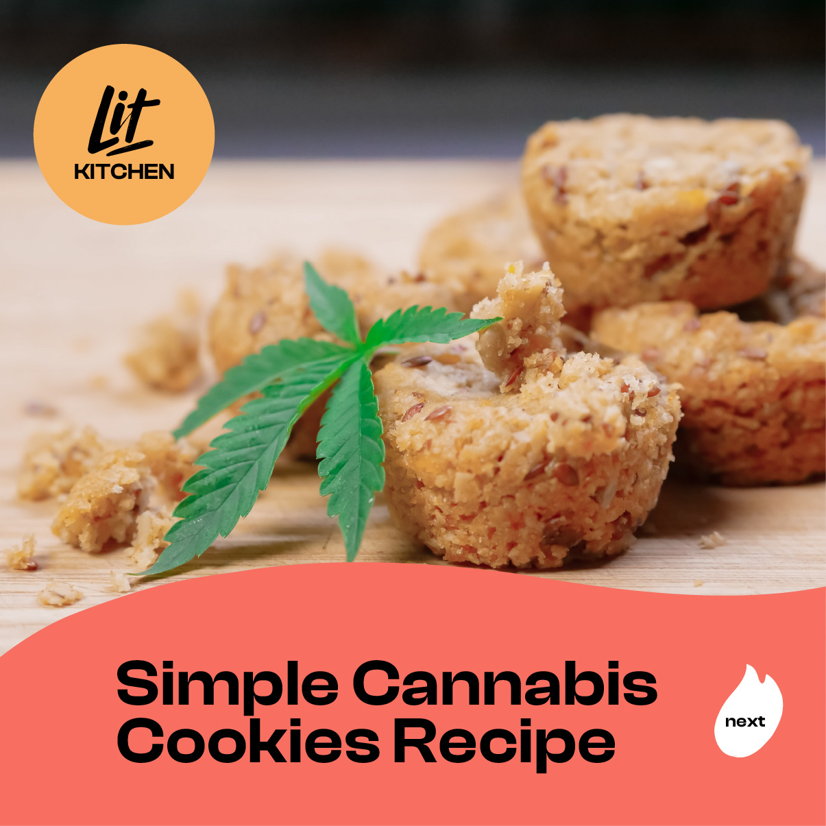 Jess Bright Design | LIT Visual Identity | Jess Bright Design