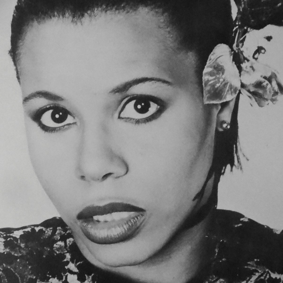 In Sync: The Ladies of Chic