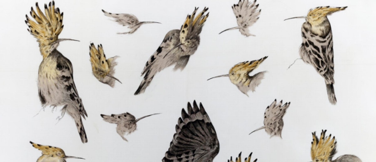 Foulard Hermès, la storia (vera) dietro al mito