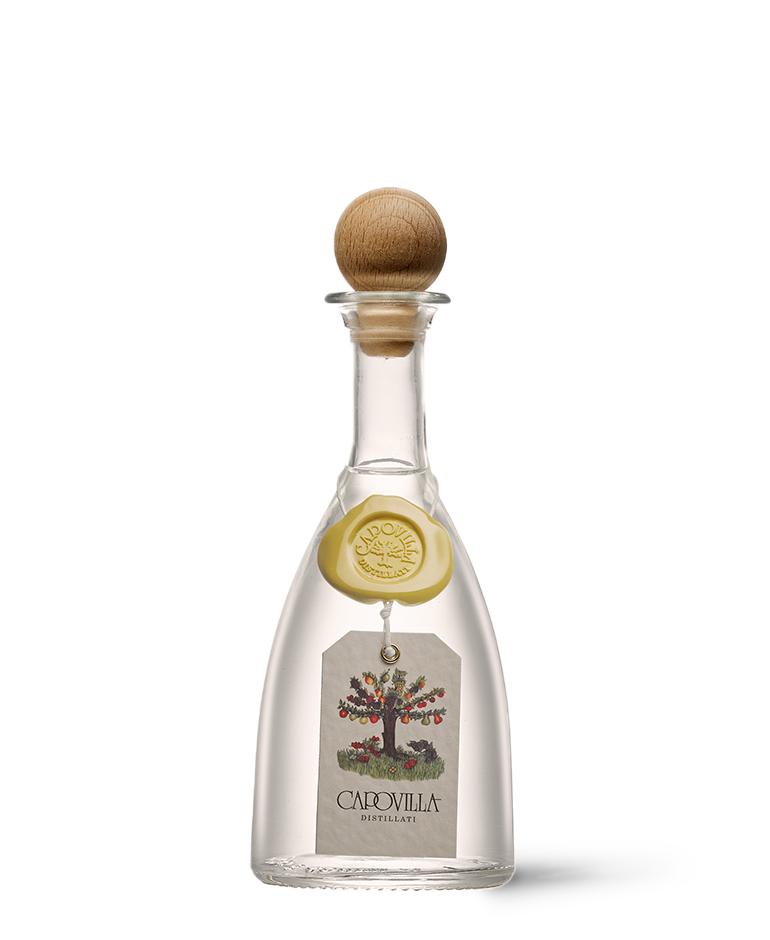 Noah Grape Distillate | Capovilla