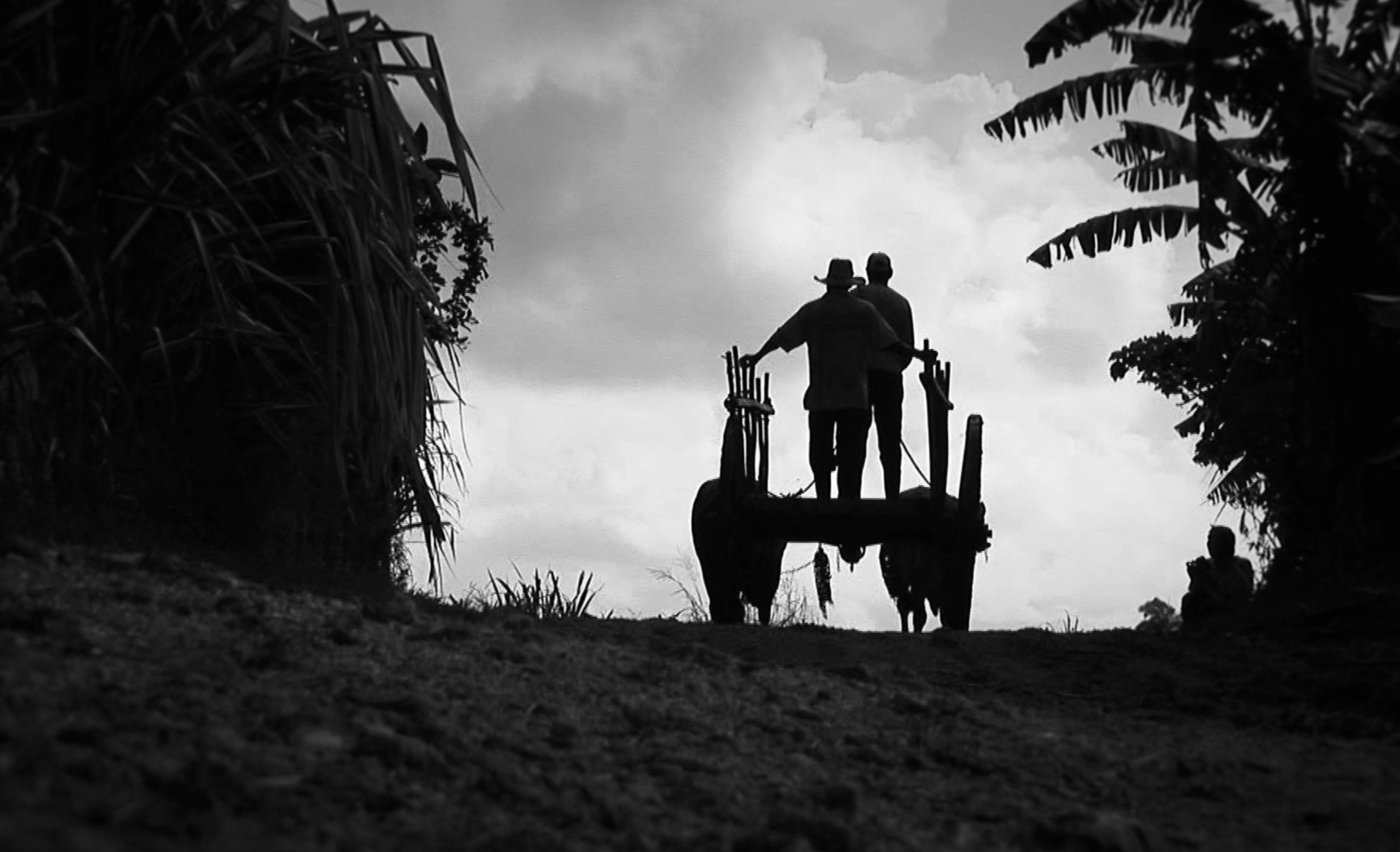 Rhum, Best Rum of Capovilla | Capovilla