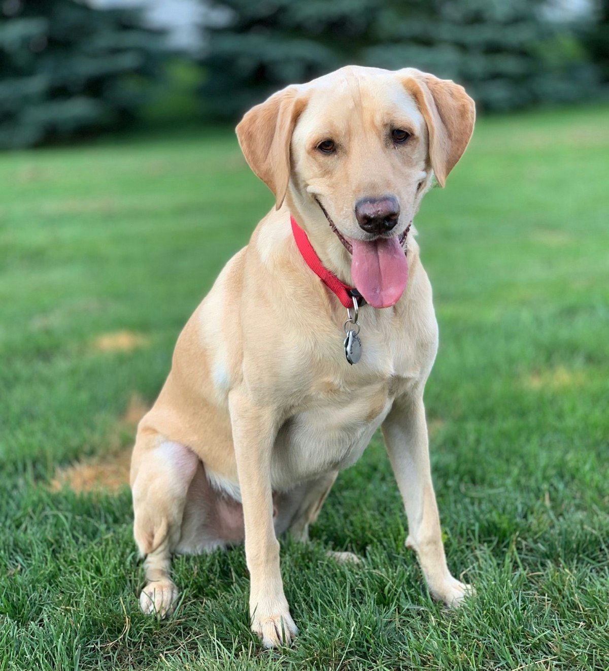 Building the future of product discovery | Maze