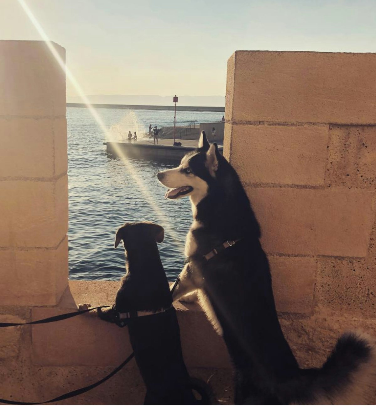 Careers | Join the amazing team!