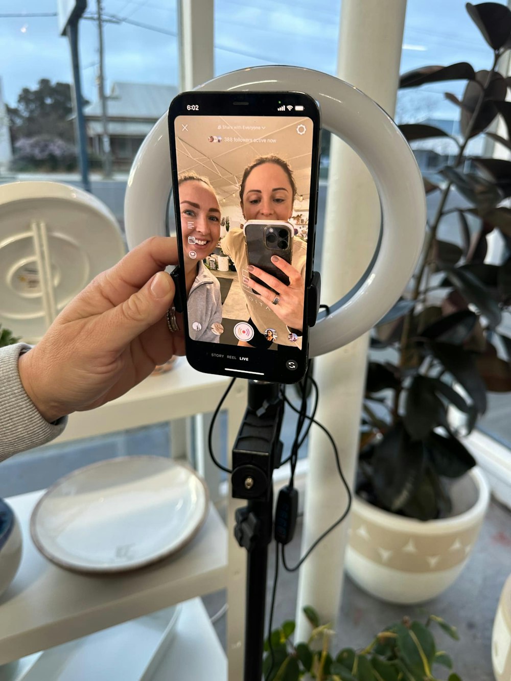 The Journey Behind Style and Leaf Co.