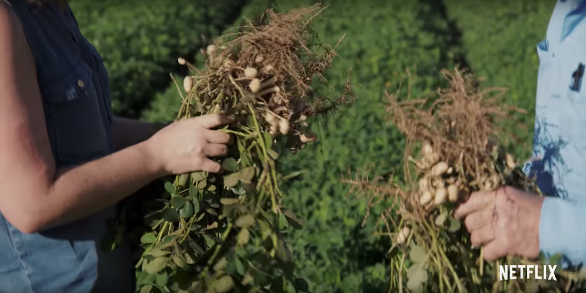 Netflix to Launch New Food Crisis Doc Rotten
