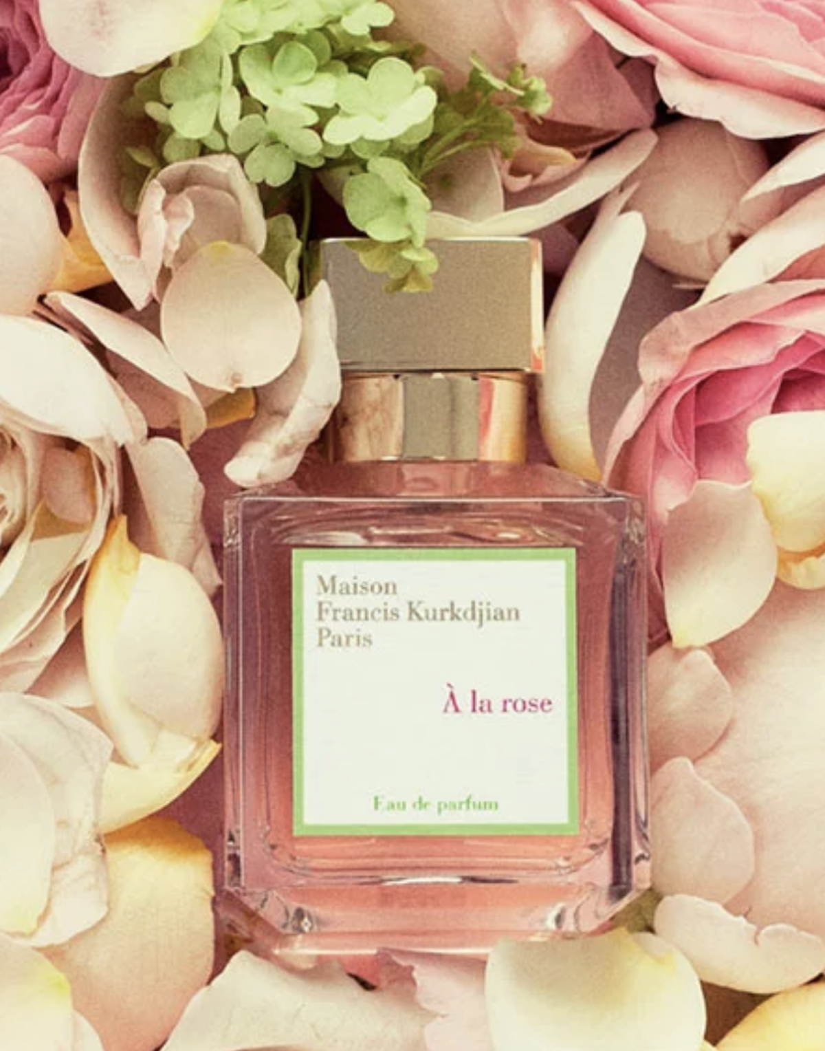 The Best Rose Fragrances to Buy