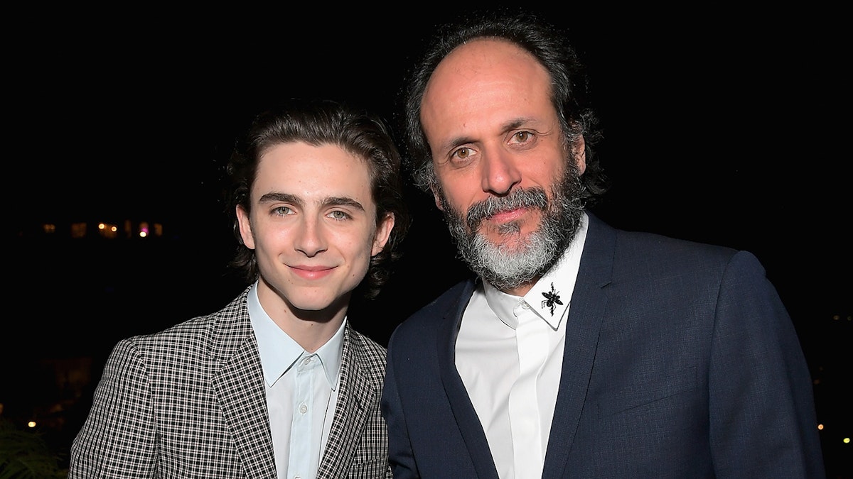 Timothée Chalamet Will Reunite with Luca Guadagnino for 'Bones & All ...