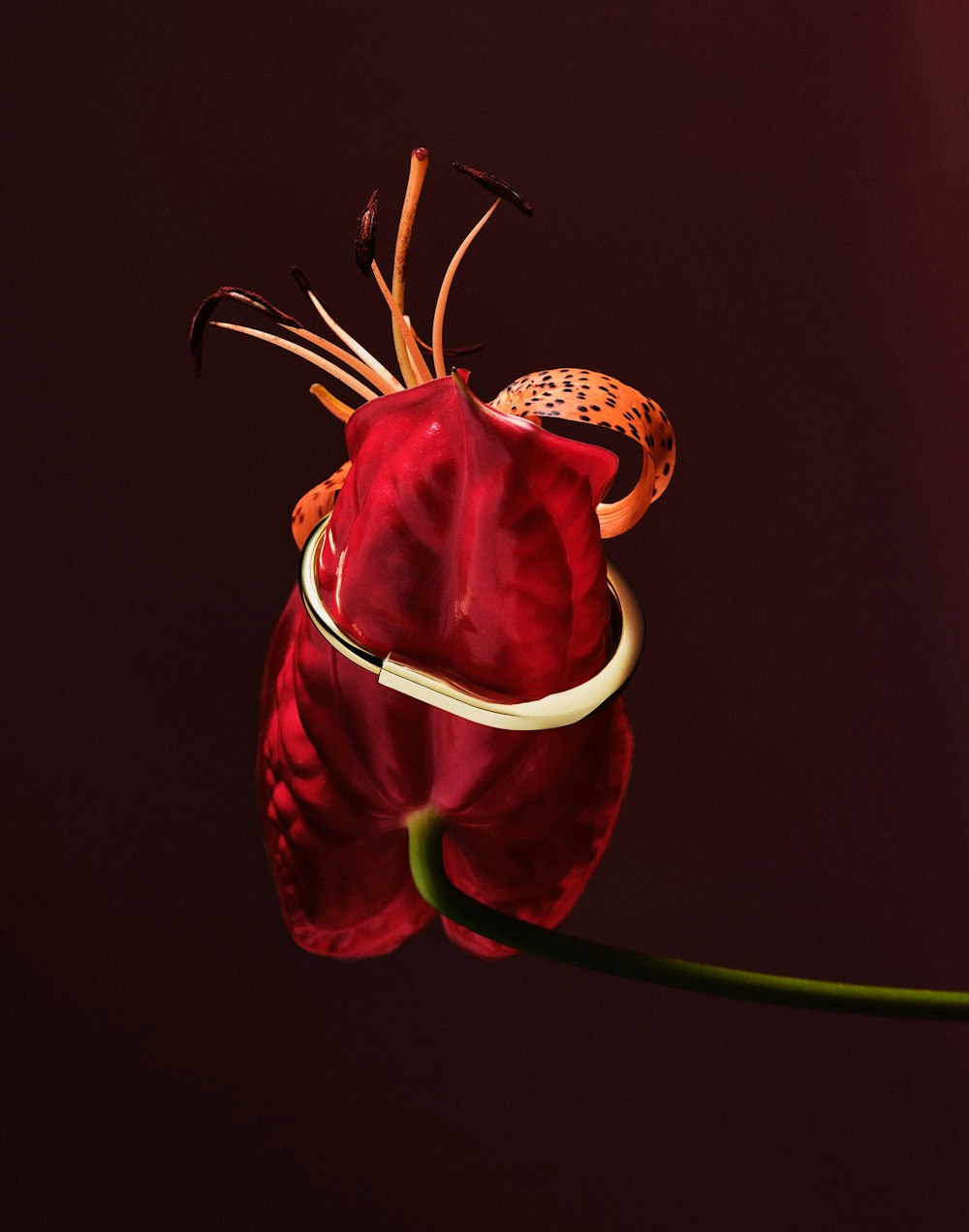 Tiffany & Co. Tiffany Lock Jewelry Collection — Tiffany's Padlock ...