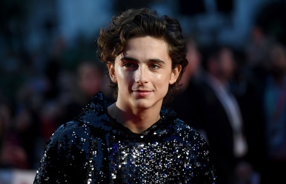 Timothée Chalamet's Best Red Carpet Looks — Timothée Chalamet Fashion ...